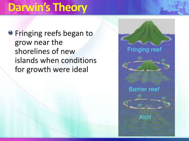 Coral reefs theory, types, formation | PPTX