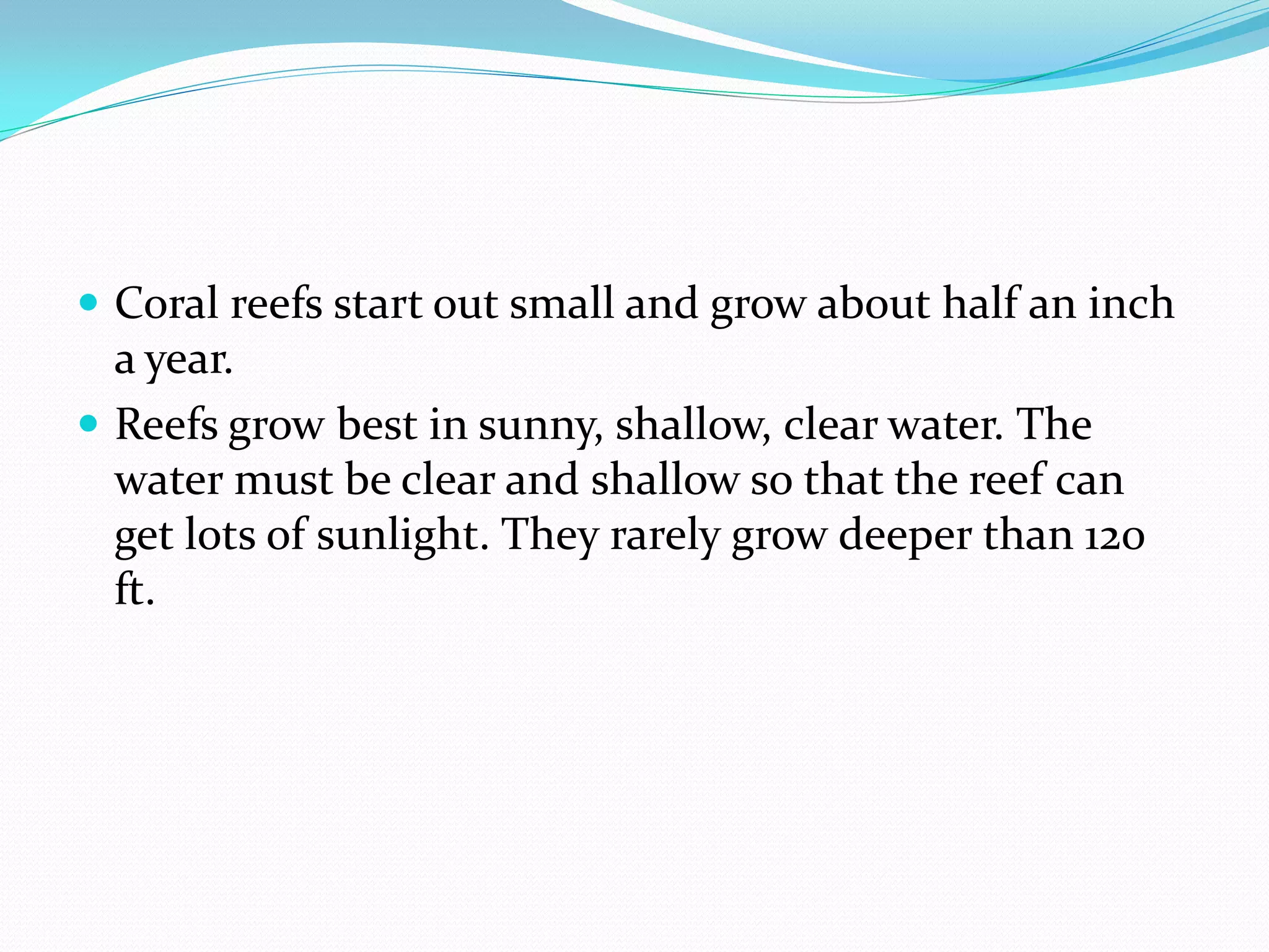 About the Bahamas Coral Reefs | PDF