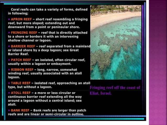 Coral reefs[1] | PPTX