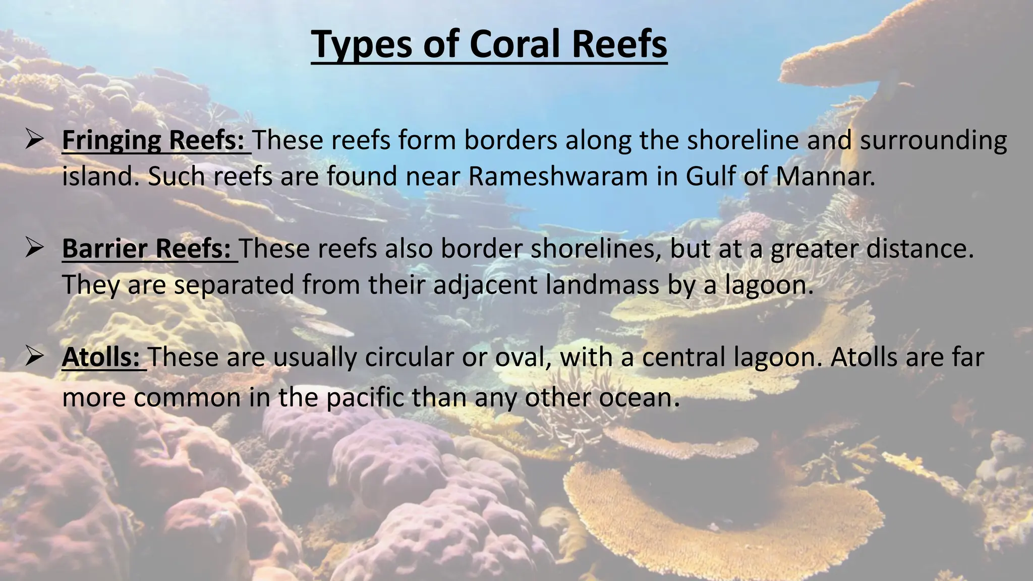 Coral Reefs 3.pdf