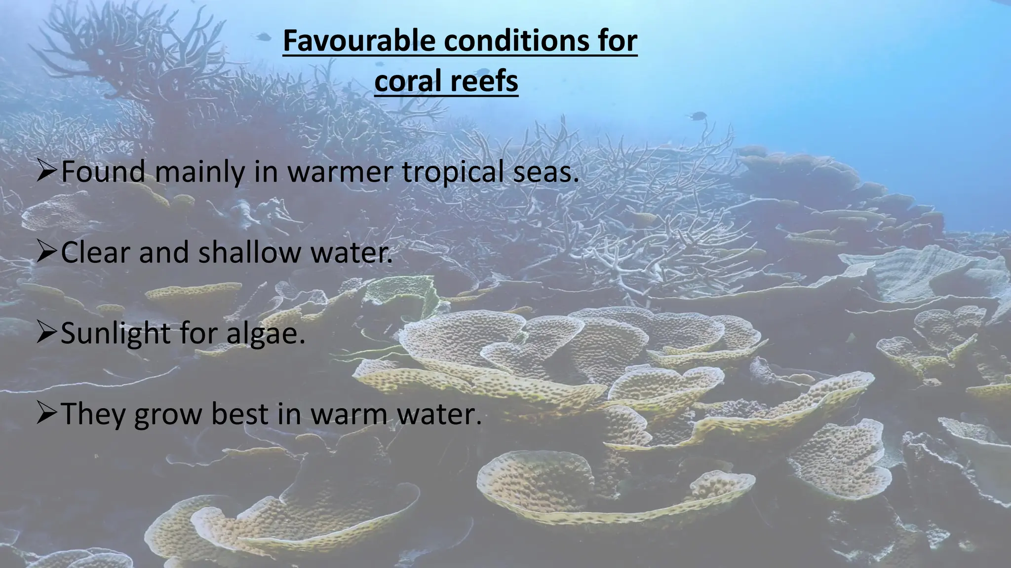 Coral Reefs 3.pdf