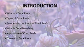 Coral Reefs 3.pdf