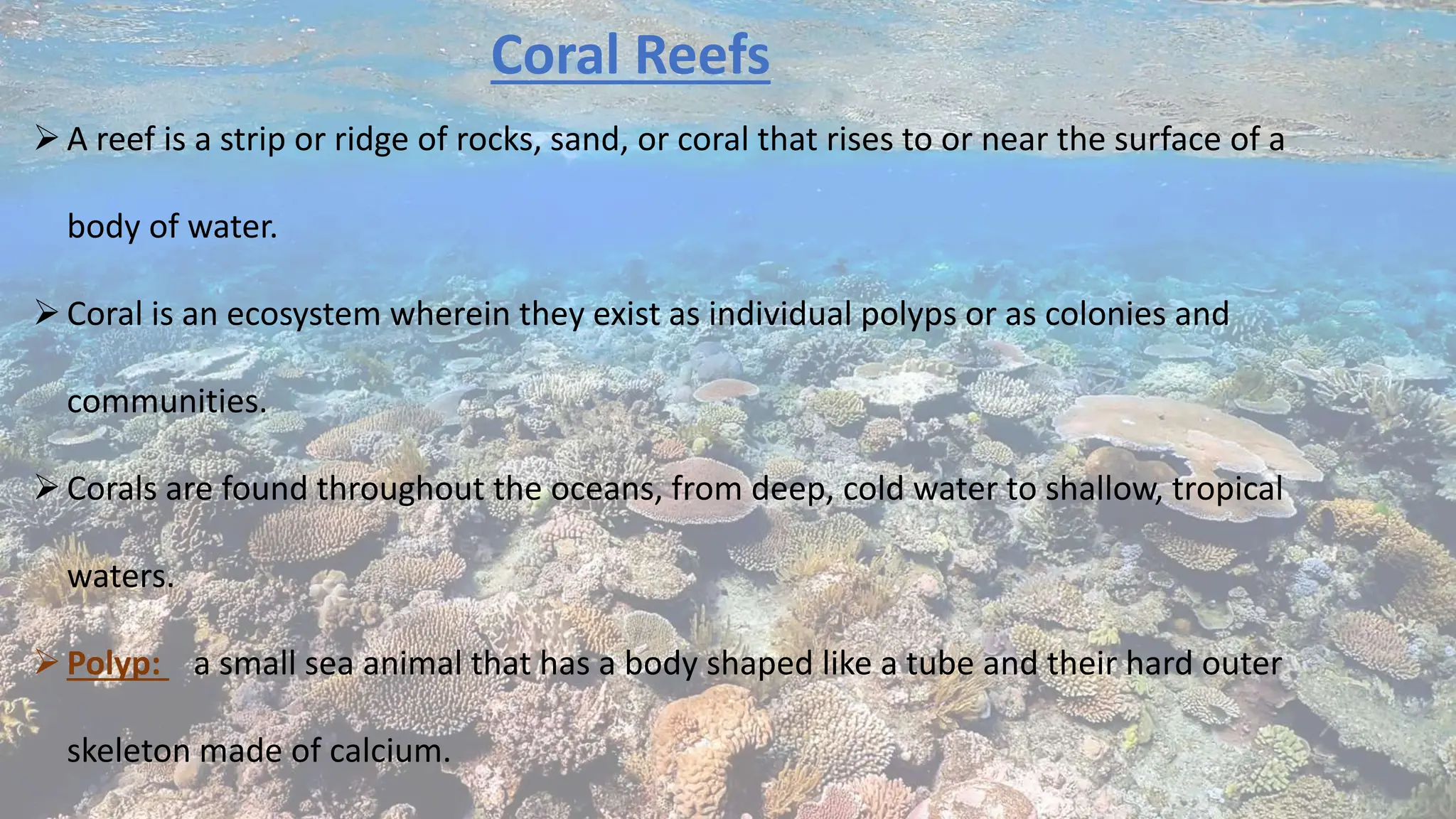 Coral Reefs 3 presentation under environment engineering | PPTX