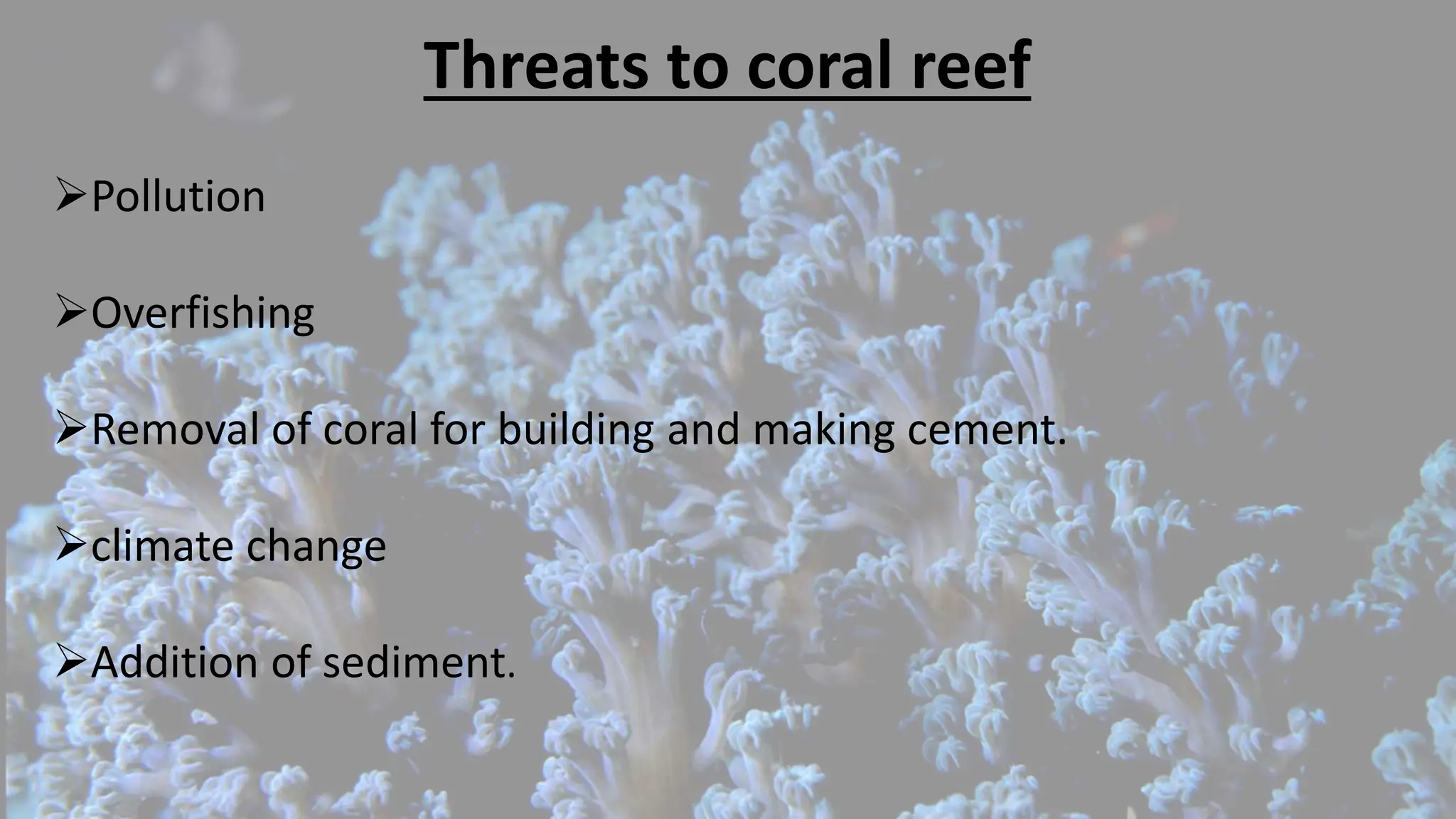 Coral Reefs 3 presentation under environment engineering | PPTX | Geography | Science