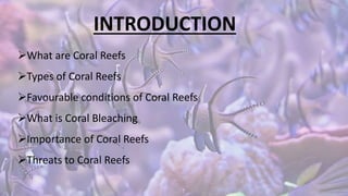 Coral Reefs 3 presentation under environment engineering | PPTX ...