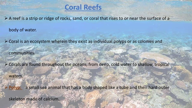 Coral Reefs 3 presentation under environment engineering | PPTX ...