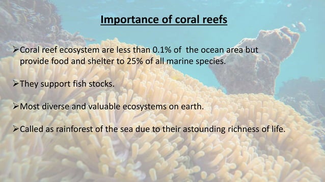 Coral Reefs 3 presentation under environment engineering | PPTX ...