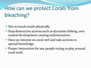Coral reefs & bleaching | PPTX