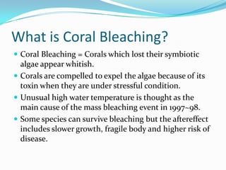 Coral reefs & bleaching | PPTX