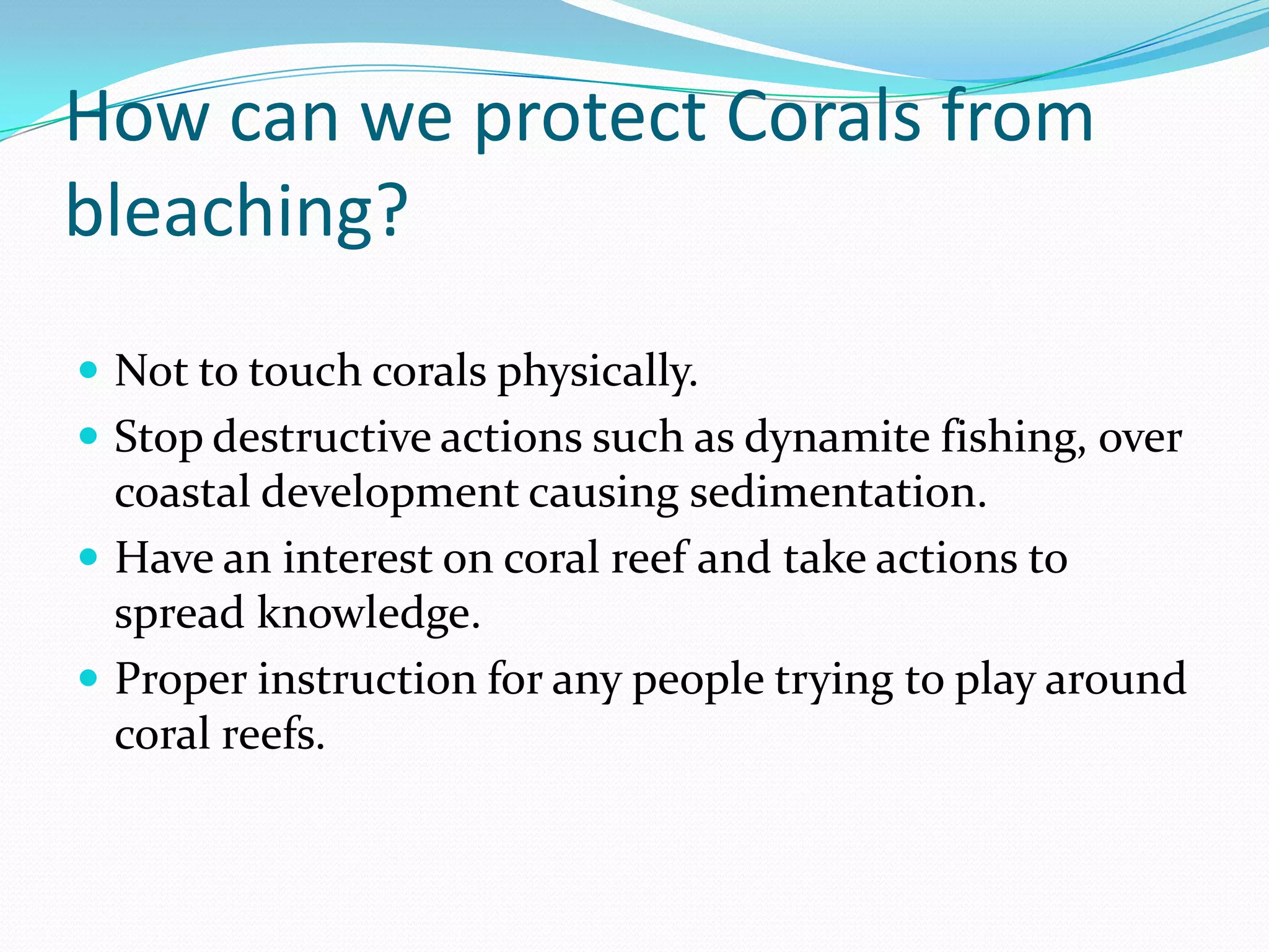 Coral reefs & bleaching | PPTX