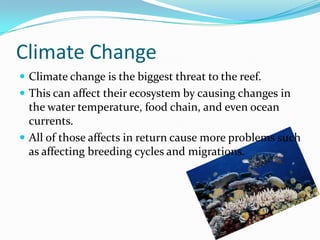 Coral reefs BT | PPTX