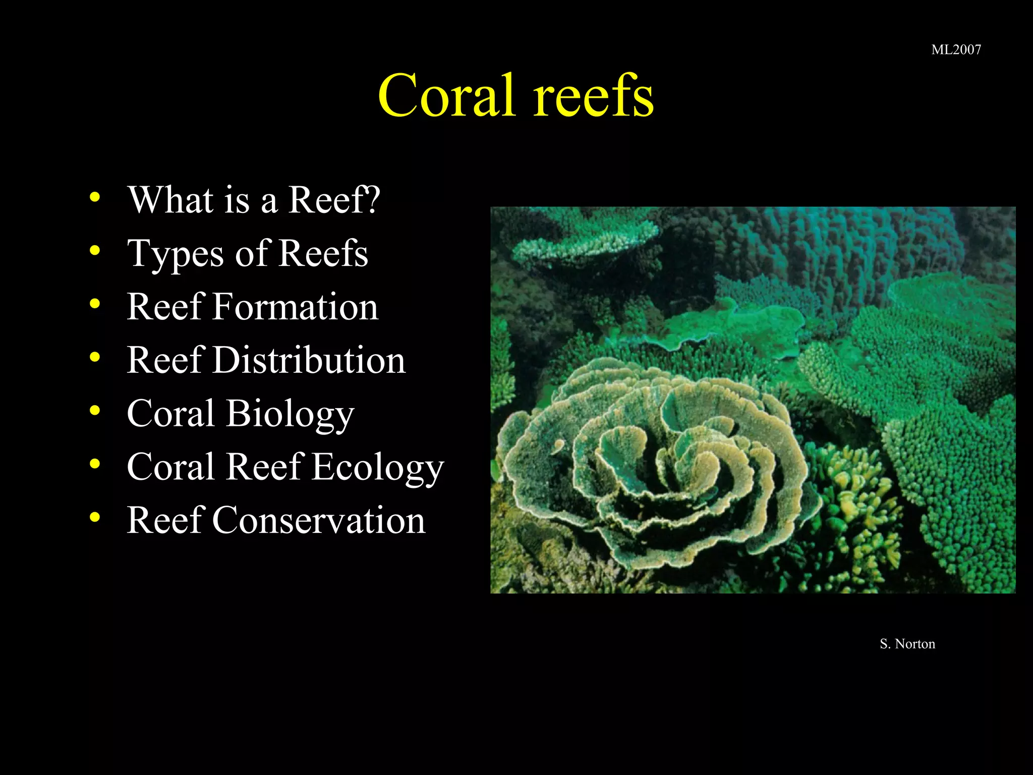 Coral Reefs Sea Change | PPT | Geography | Science