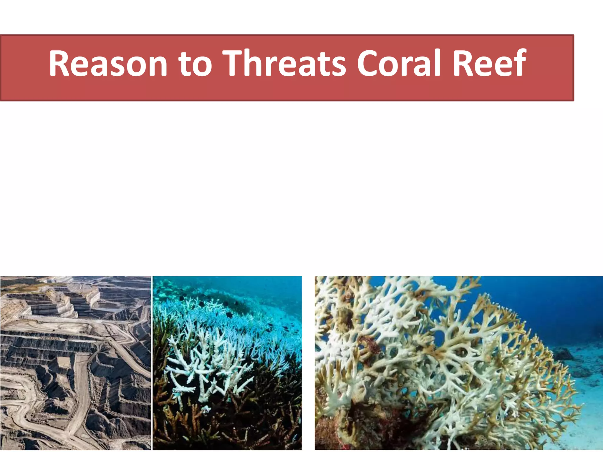 Coral reef Threats, conservation and Restoration.pptx