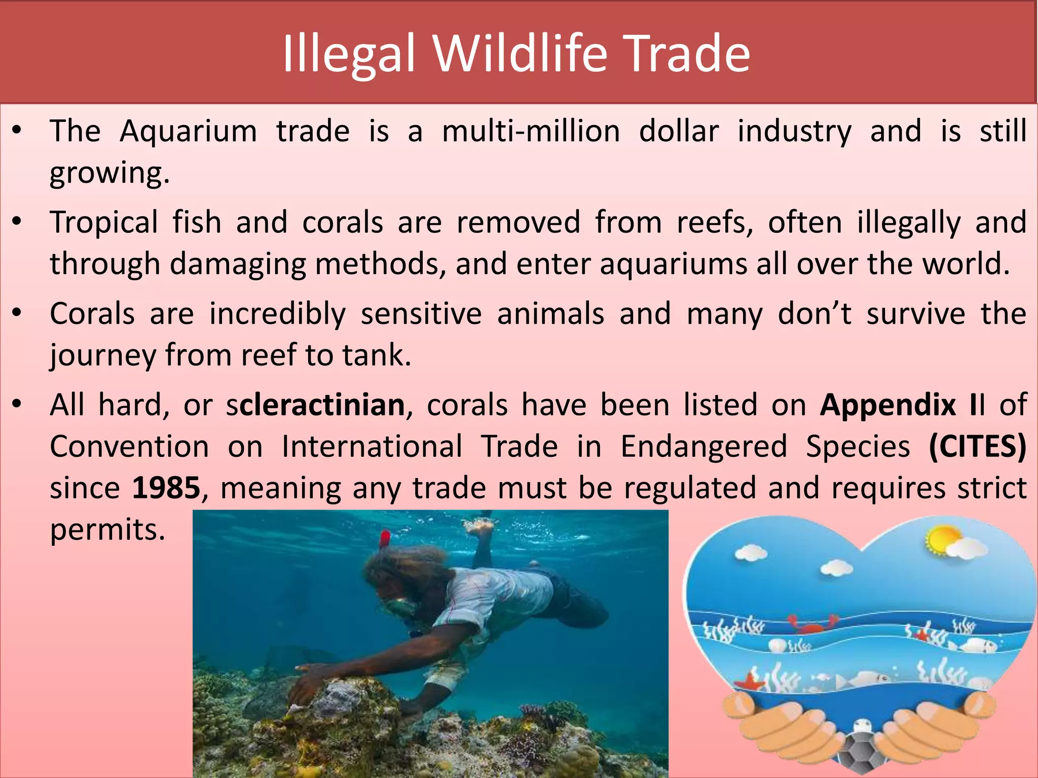 Coral reef Threats, conservation and Restoration.pptx