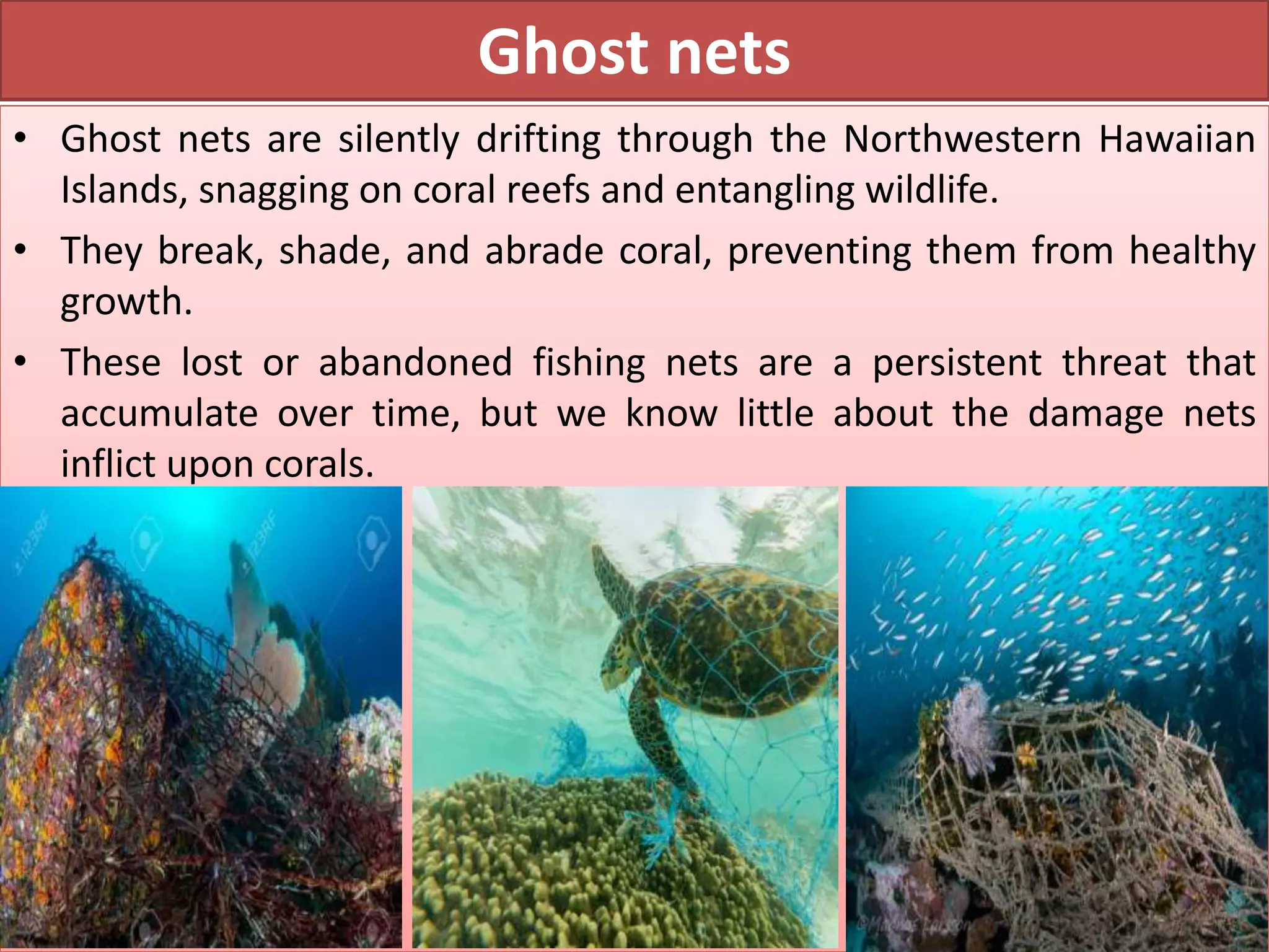 Coral reef Threats, conservation and Restoration.pptx