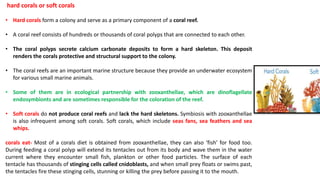 Corals, Types of corals, coral skeletons | PPTX