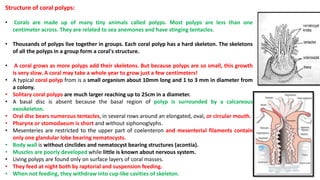 Corals, Types of corals, coral skeletons | PPTX