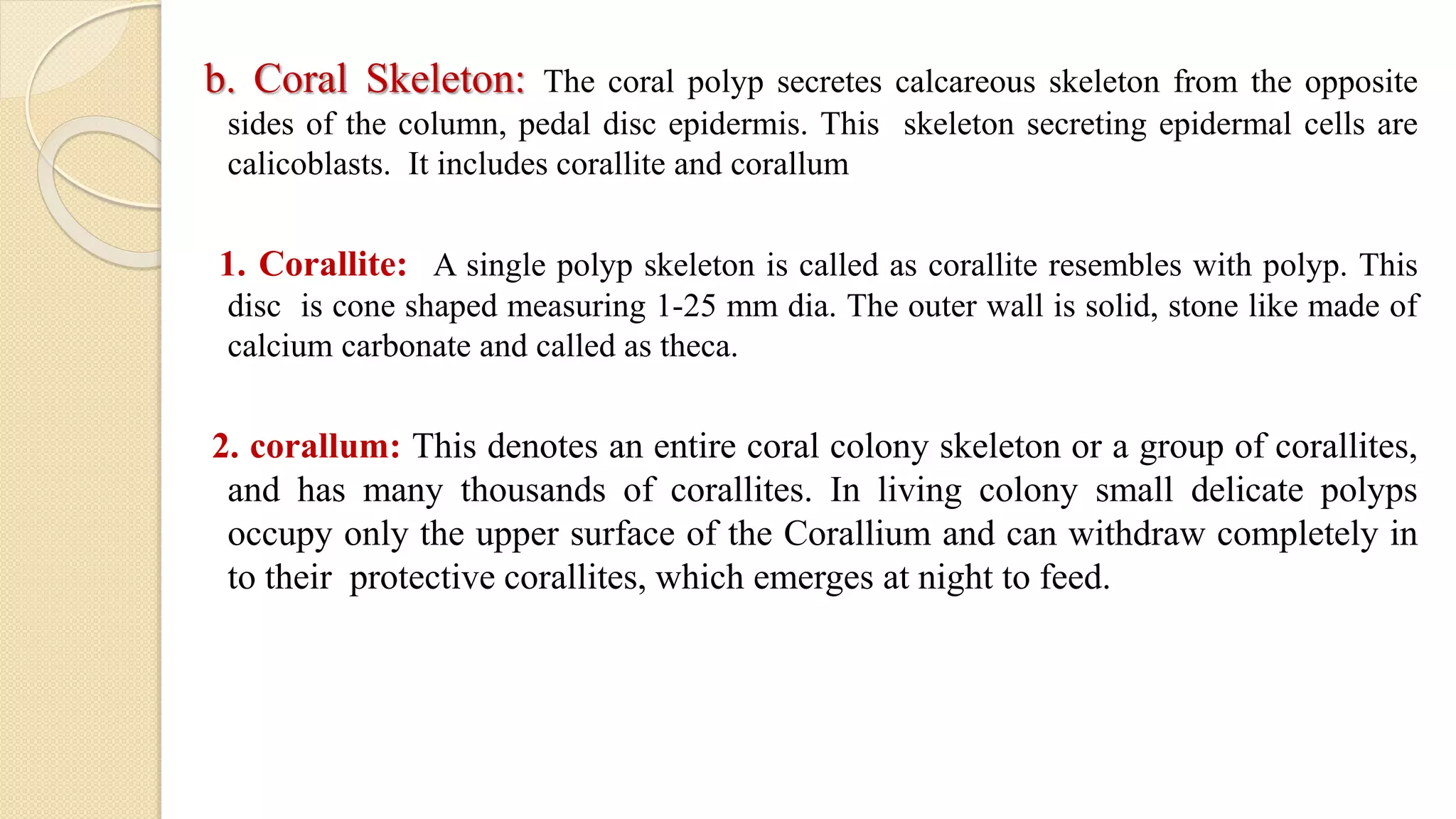Corals and Coral Reef formation.pptx