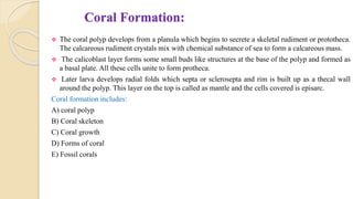 Corals and Coral Reef formation.pptx