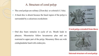 Corals and Coral Reef formation.pptx