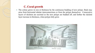 Corals and Coral Reef formation.pptx