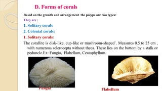 Corals and Coral Reef formation.pptx