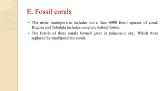 Corals and Coral Reef formation.pptx