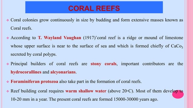 Corals and Coral Reef formation.pptx