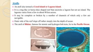 Corals and Coral Reef formation.pptx