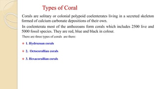 Corals and Coral Reef formation.pptx