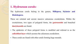 Corals and Coral Reef formation.pptx