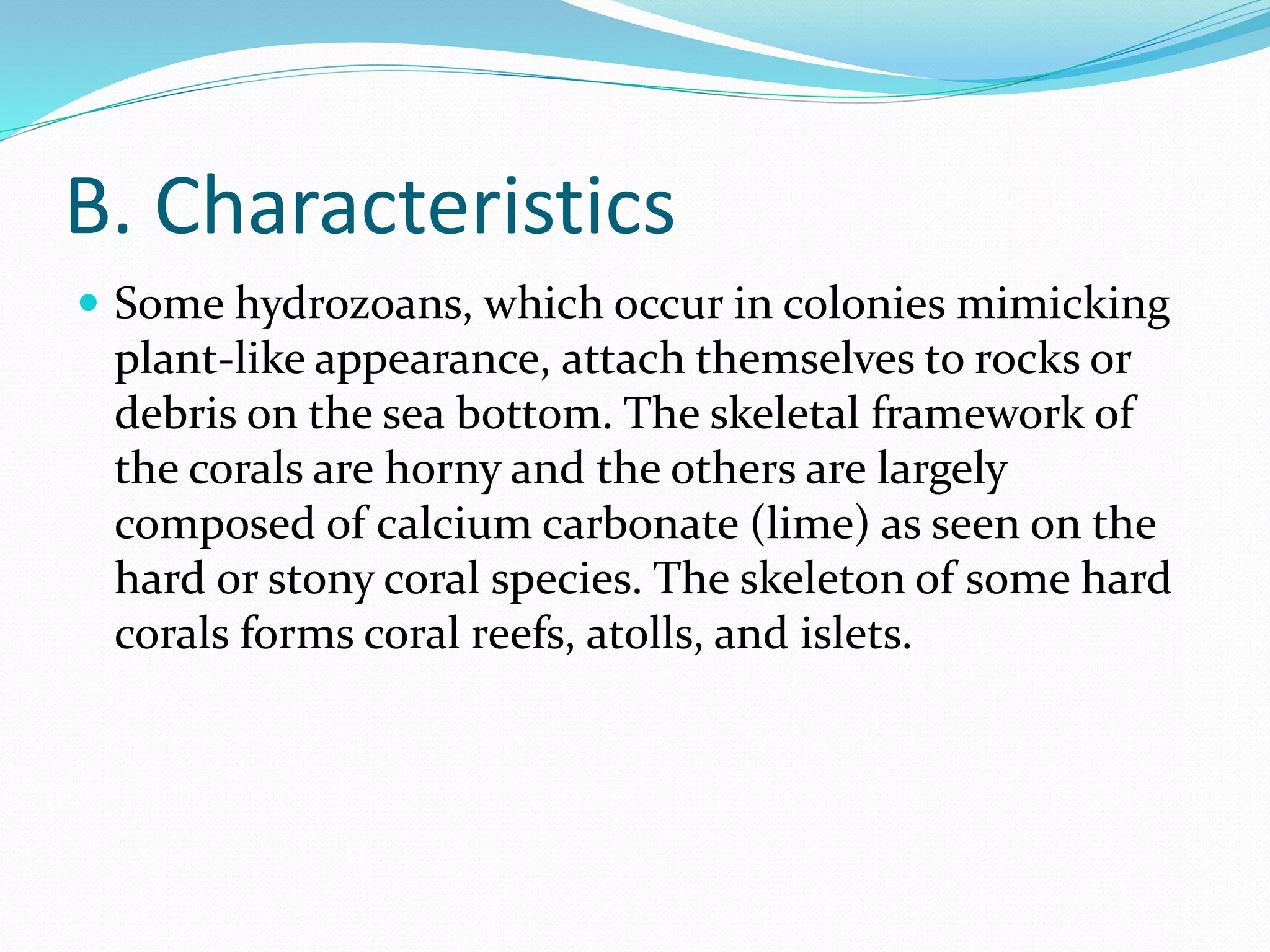 Corals and coral reefs | PPTX