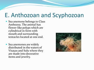 Corals and coral reefs | PPTX