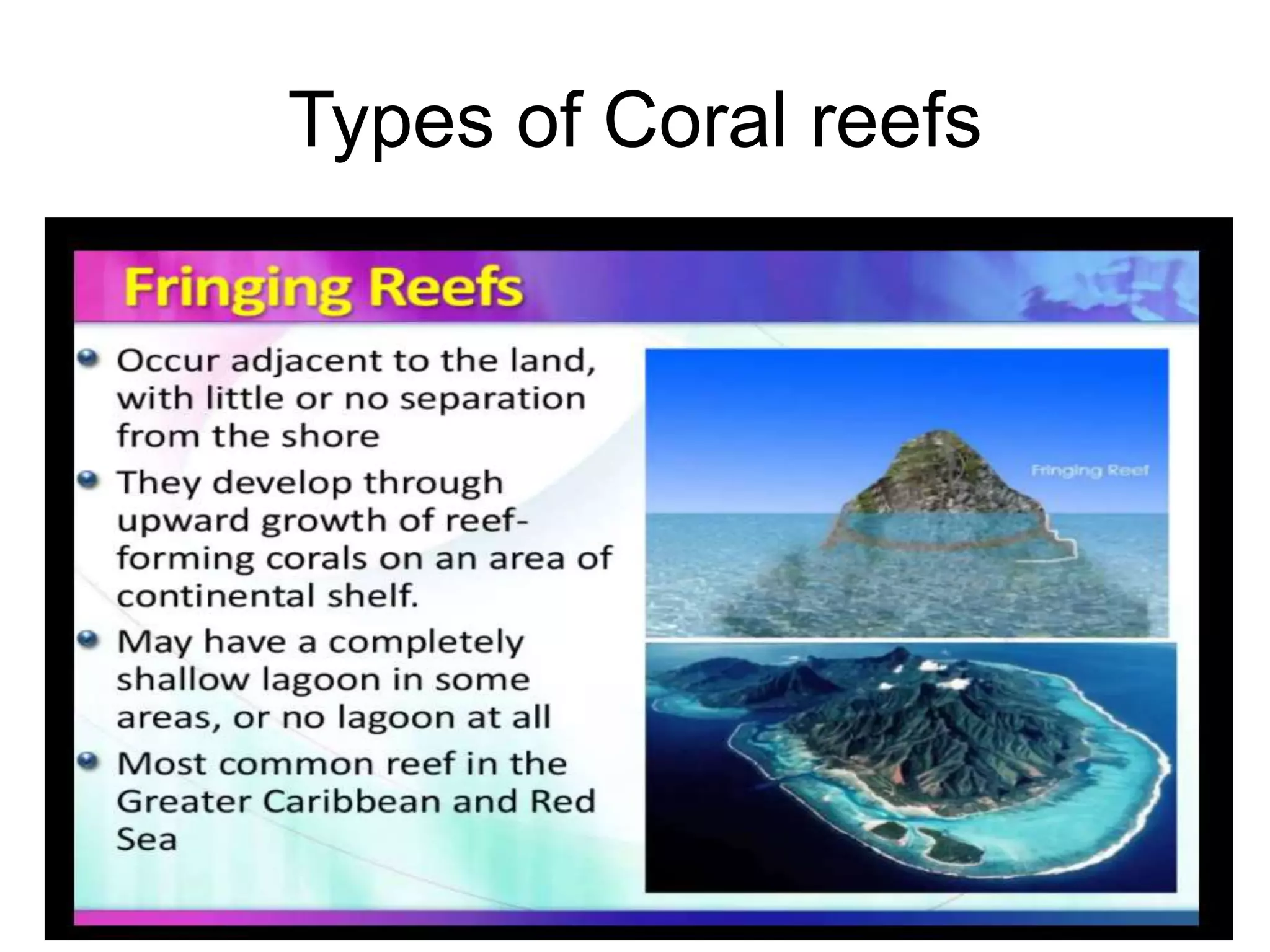 Corals and Coral reefs.ppt
