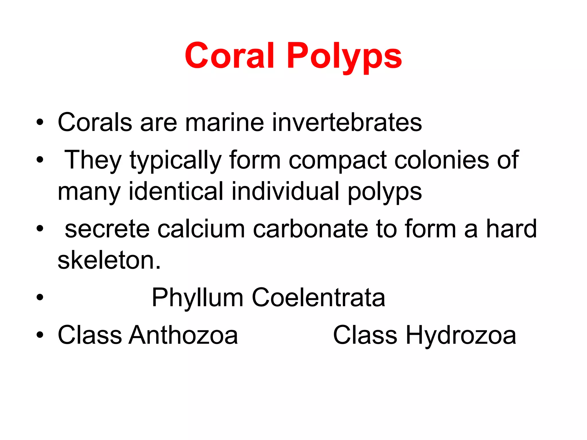 Corals and Coral reefs.ppt