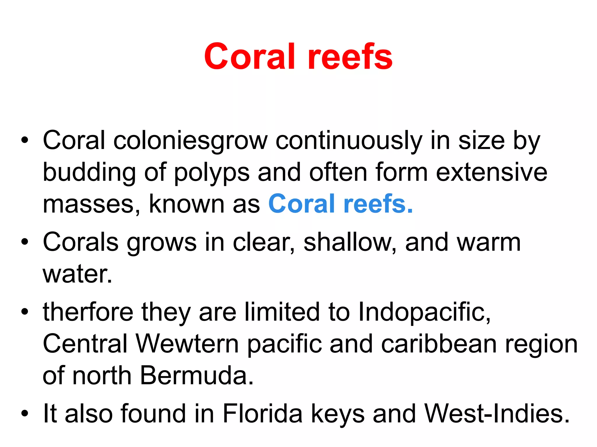 Corals and Coral reefs.ppt