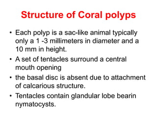 Corals and Coral reefs.ppt