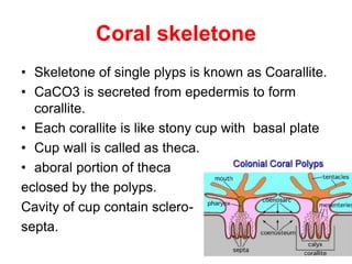 Corals and Coral reefs.ppt