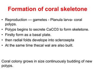 Corals and Coral reefs.ppt