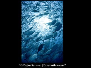 It might seem hard to imagine an ocean without fish... | PPT