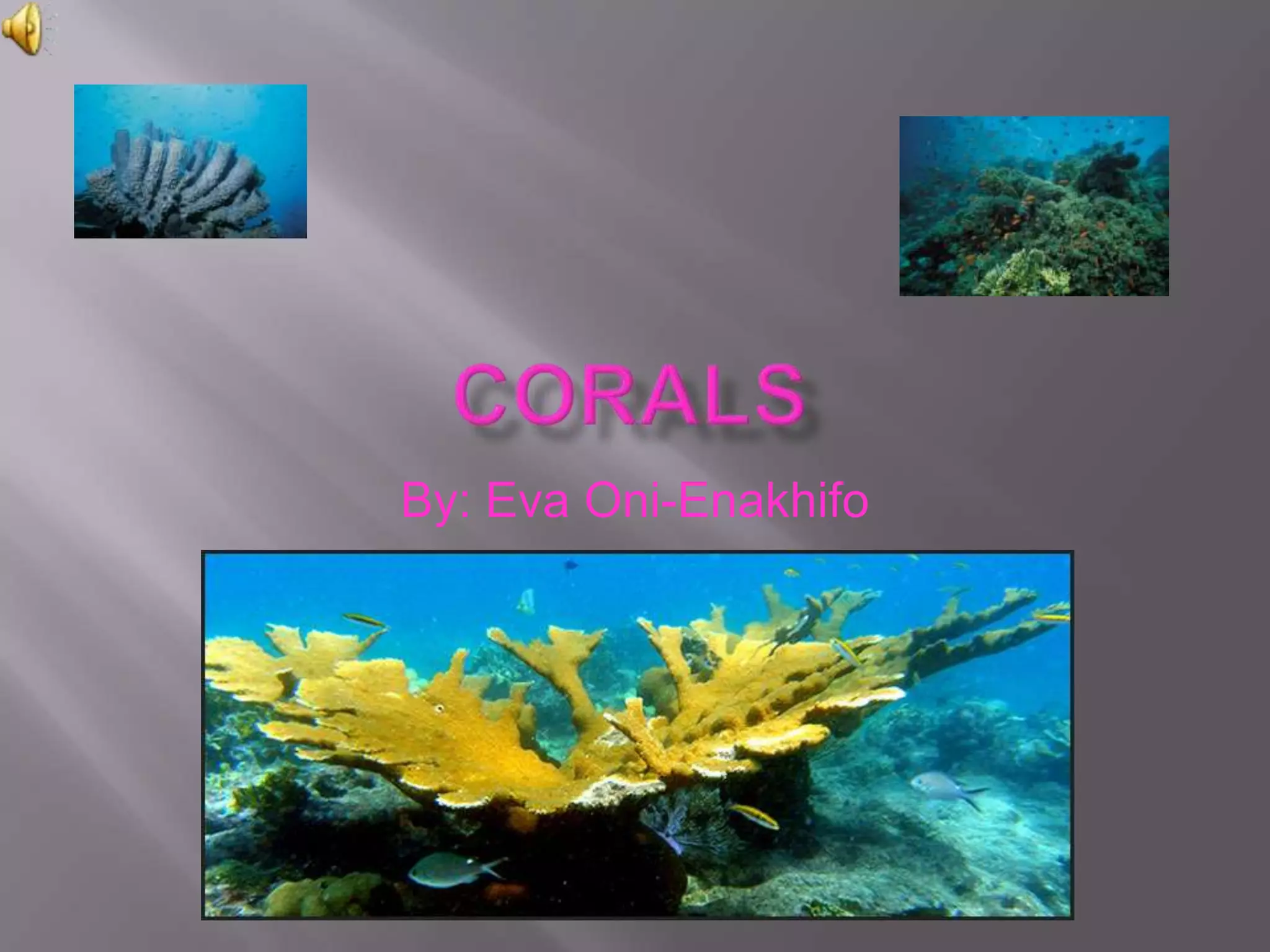 Corals Reefs | PPT