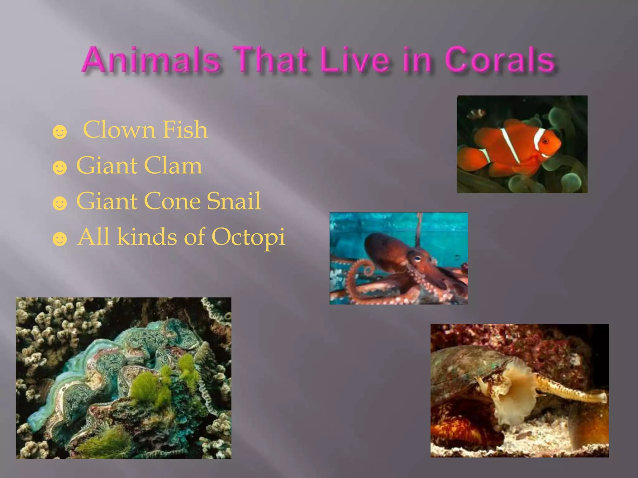 Corals Reefs | PPT