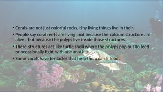 Corals reef _ Environmental Awareness ppt | PPTX