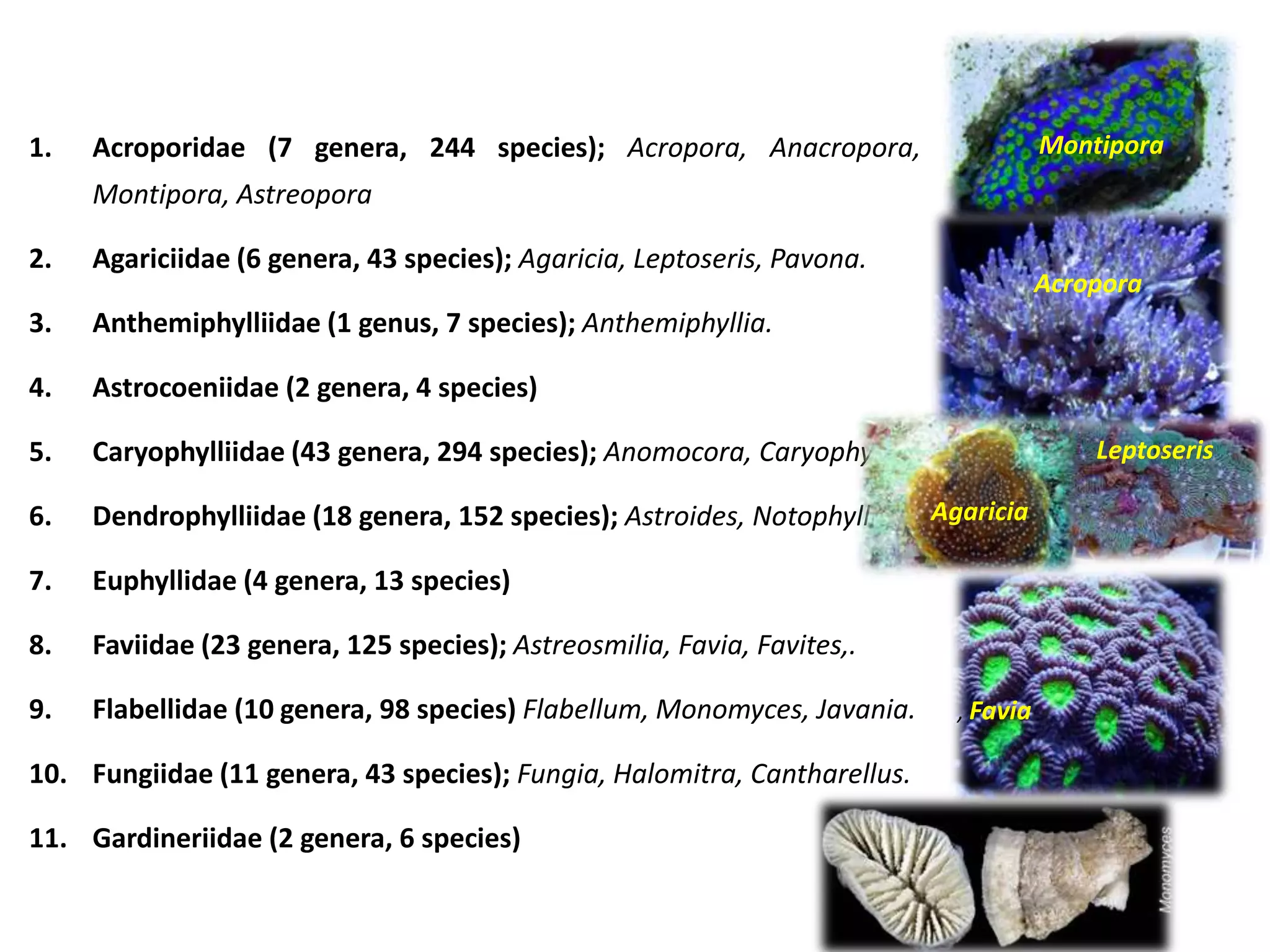 Coral taxonomy | PPTX