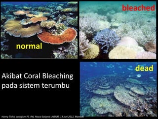 Coral triangle vs climate change | PPTX