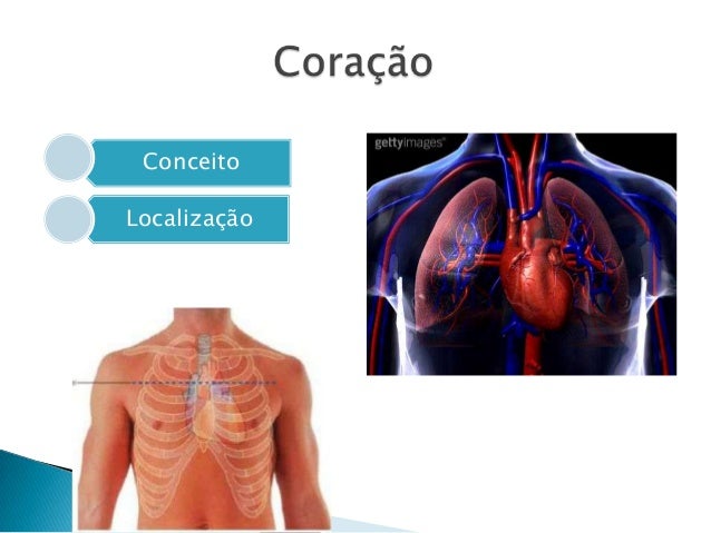 Coração e pericárdio