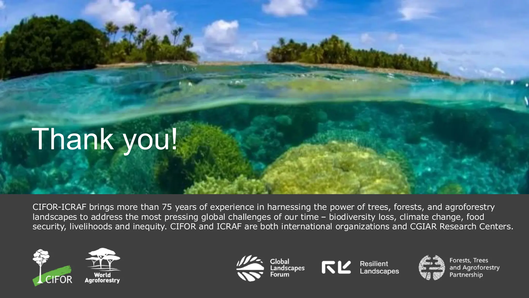 Methods for mangrove blue carbon measurement and business | PDF