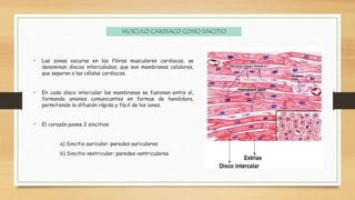 MUSCULO CARDIACO - CAP 9 | PPTX