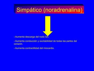 Corazón ciclo cardiaco.ppt
