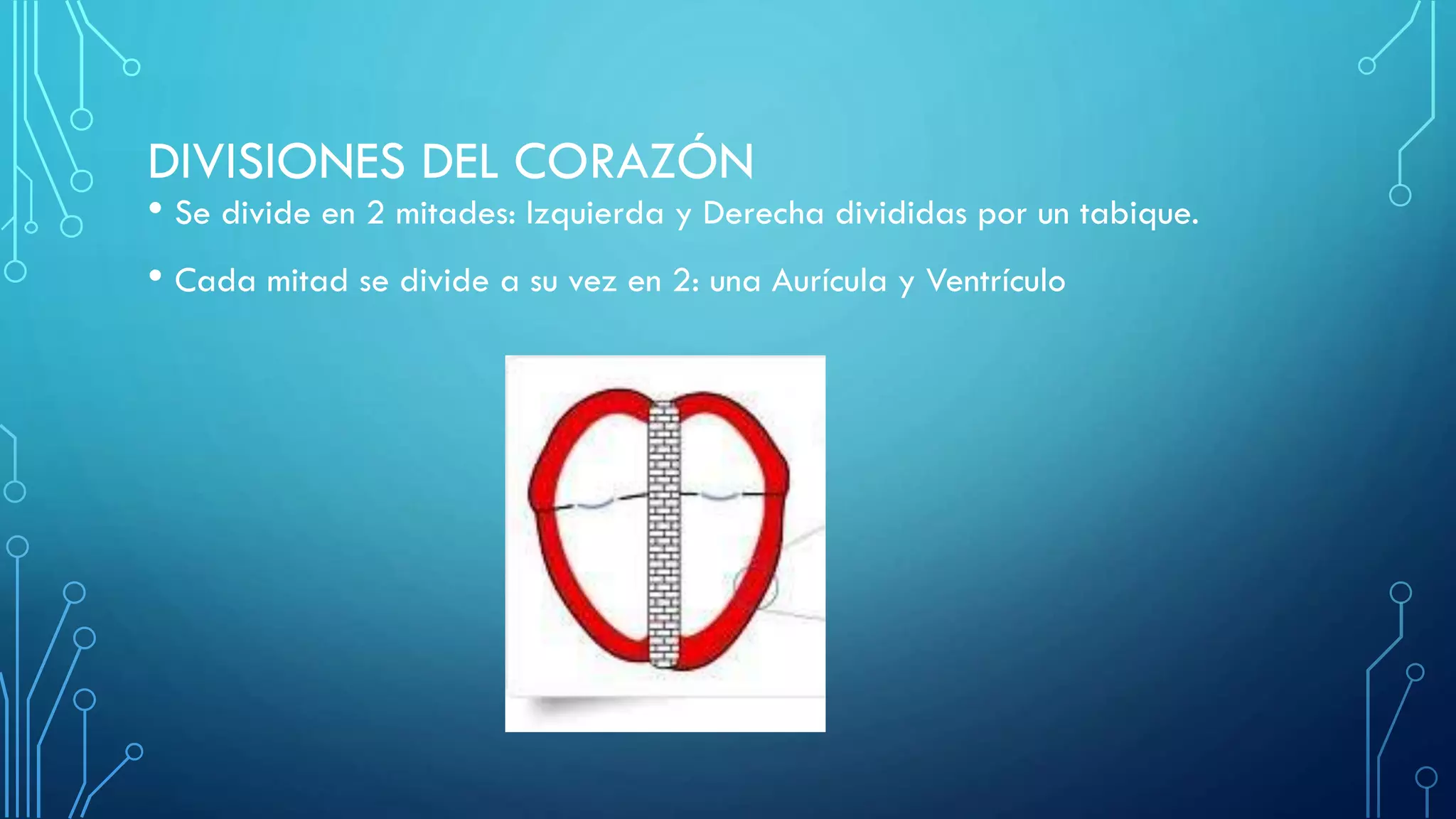 Corazon: Fisiologia y funciones Normales del Corazon | PPT